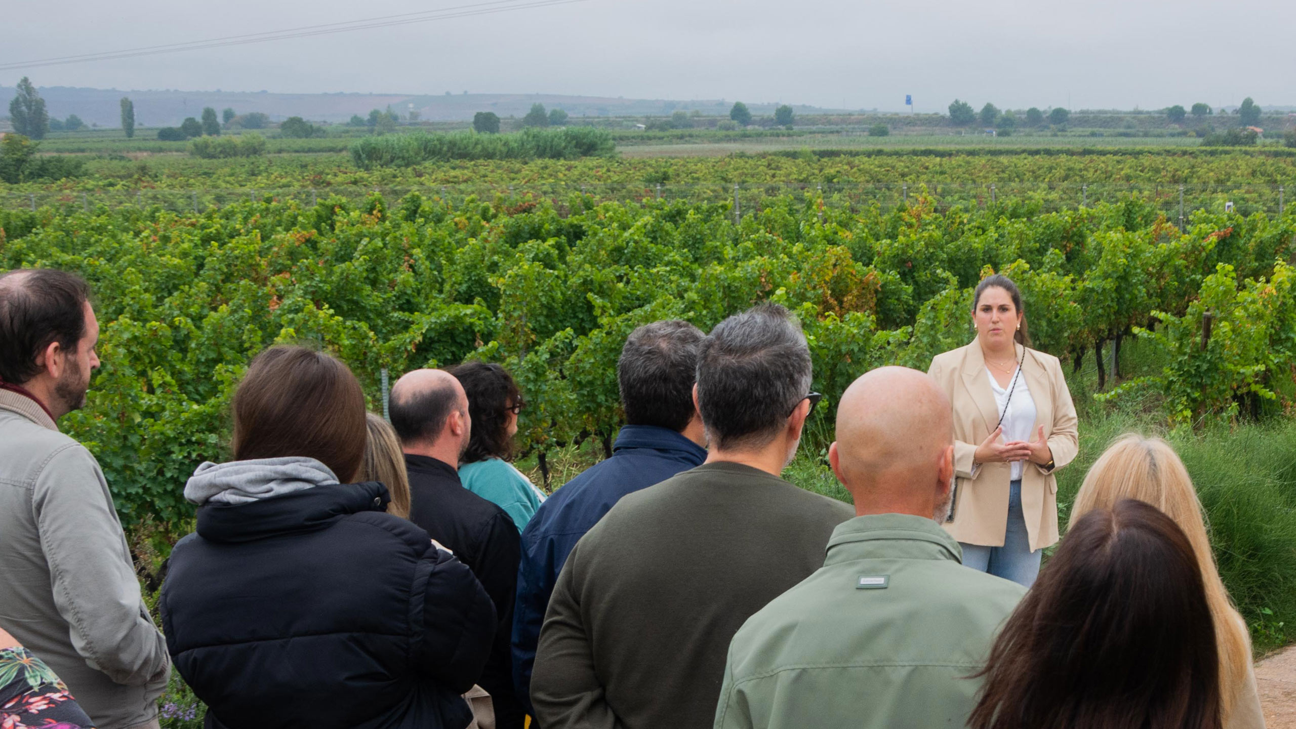 Bodegas Corral | Vinos de Rioja Alta y enoturismo