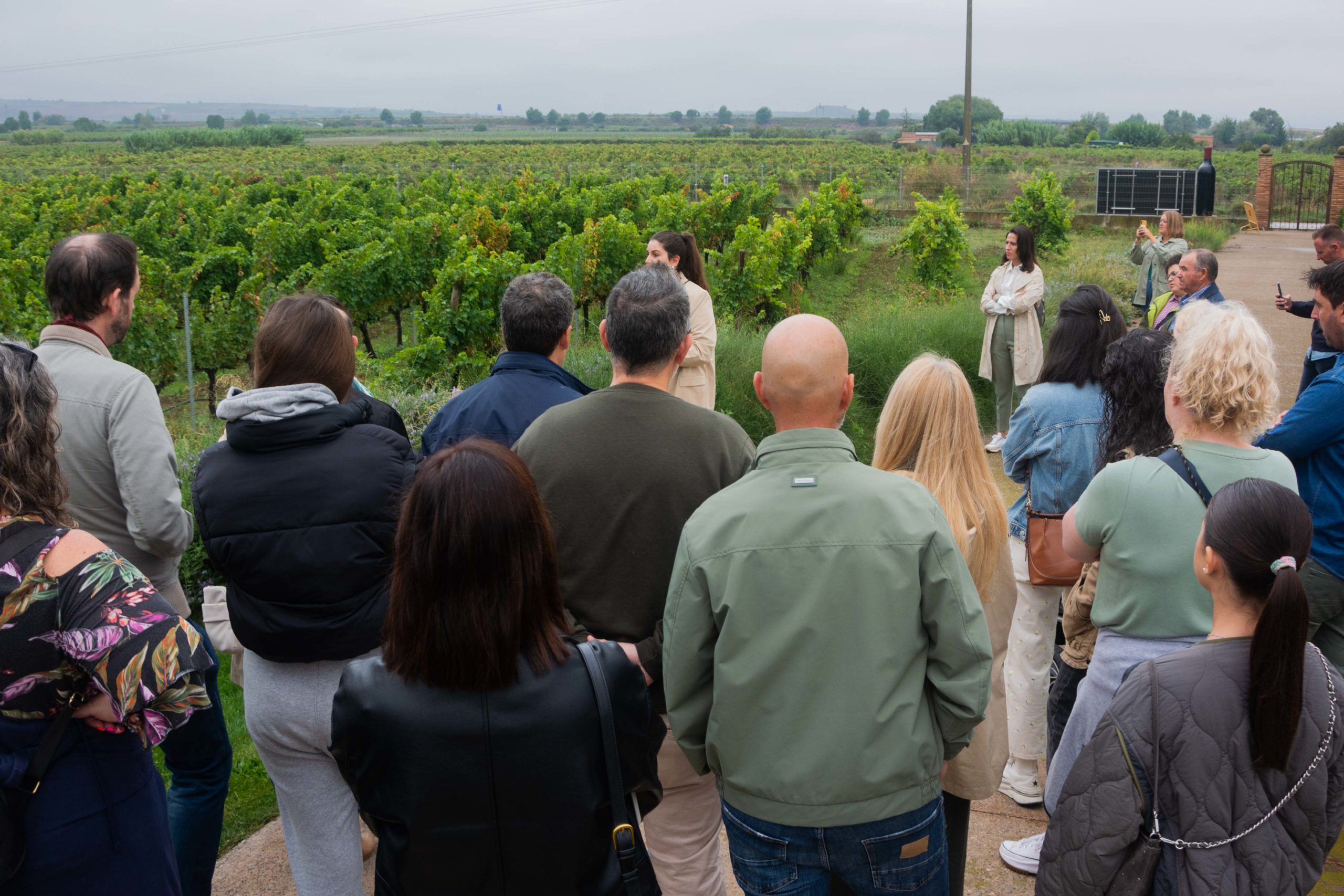 Enoturismo en Bodegas Corral: Un viaje sensorial por la historia y el ...