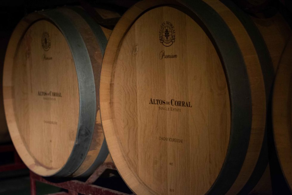 Crianza, Reserva, and Gran Reserva: this is how the soul of Rioja wine ...