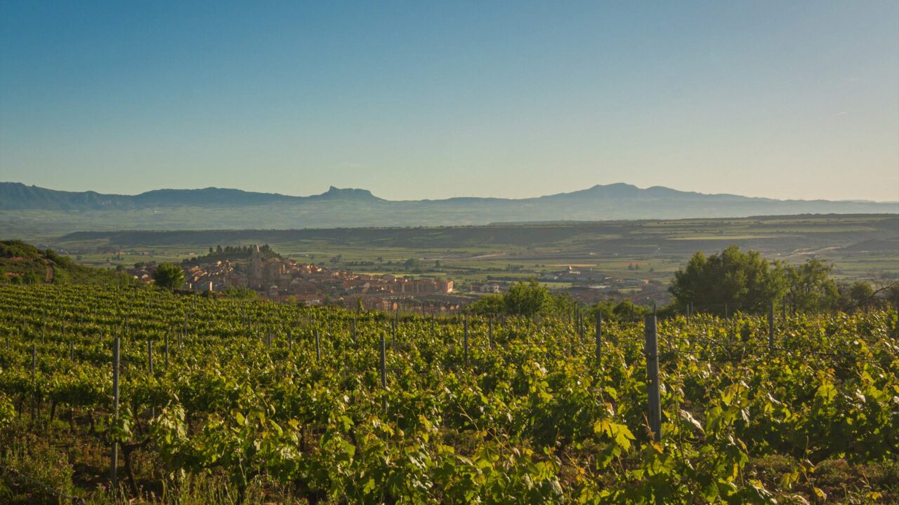 Visita nuestra bodega de Rioja | Bodegas Corral